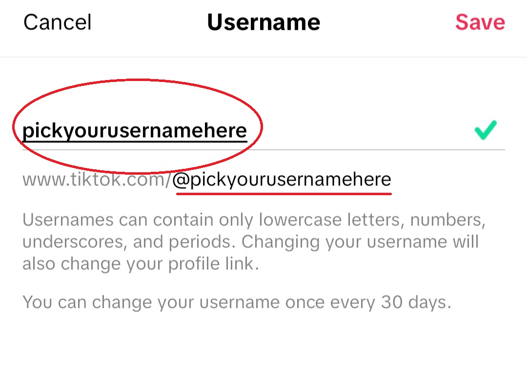 How to Change Your TikTok URL (Username) on Mobile Devices - Skaterbate